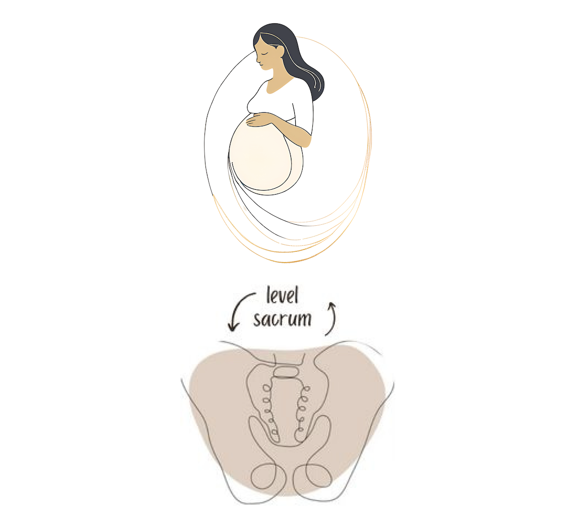 Webster Technique - Alliance Spine & Physical Medicine